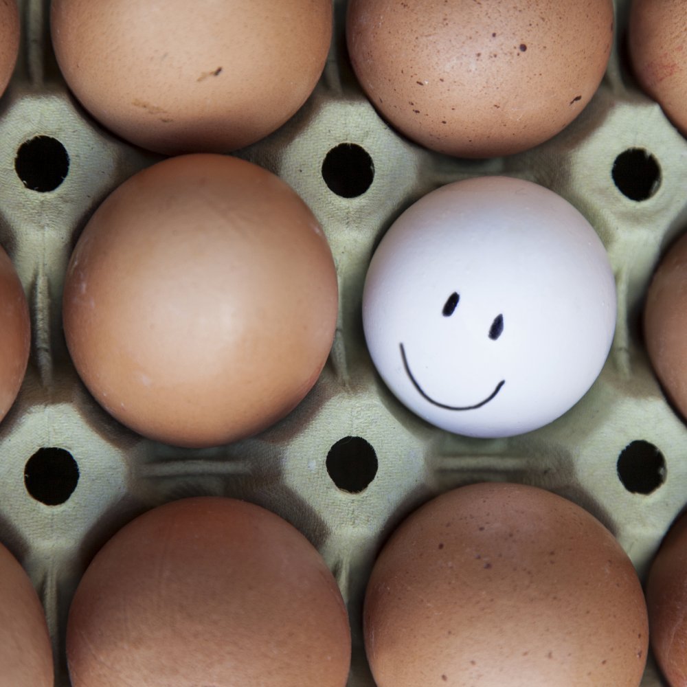 The Nine Box Grid For Talent Management the-nine-box-grid-for-talent-management