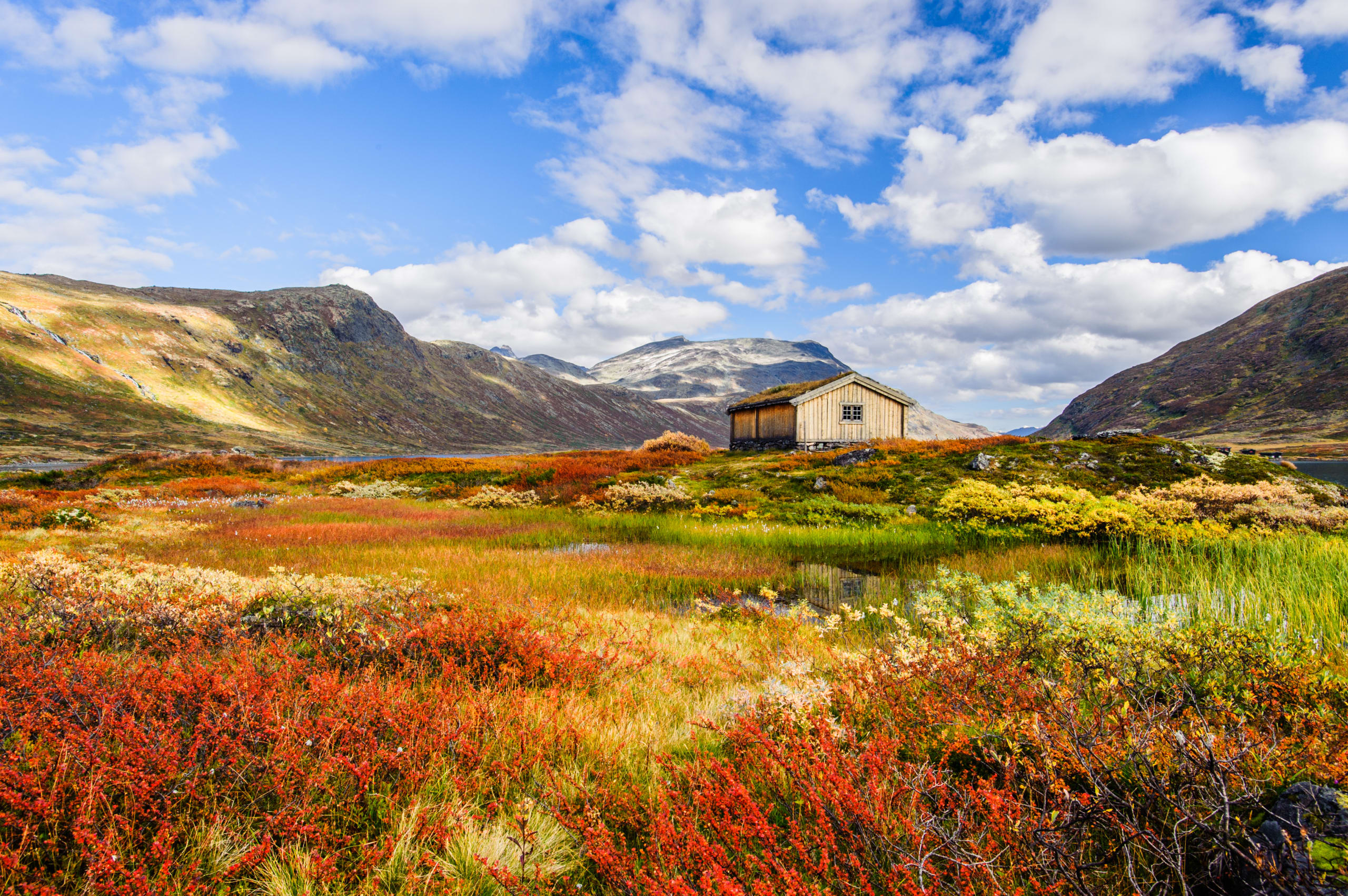 Tours and Experiences in Eastern Norway | Go Fjords