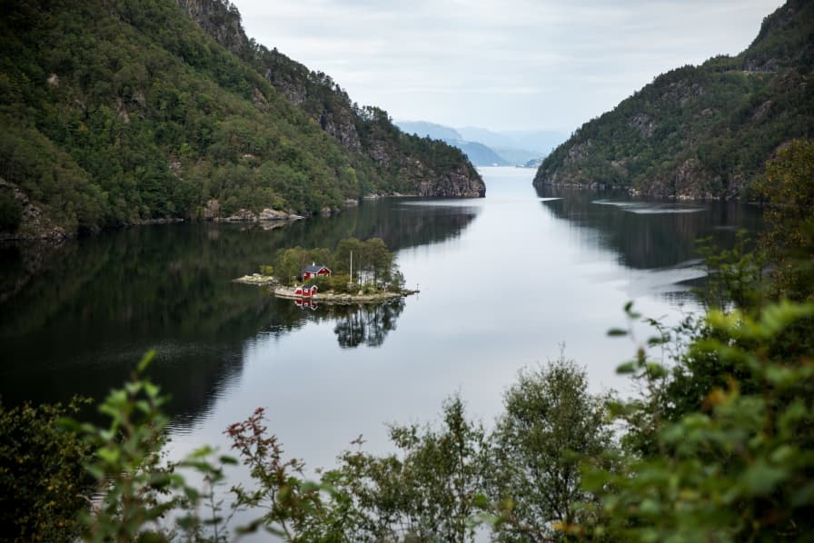 typical norwegian features