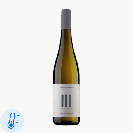 Alde Gott Spätburgunder Rotwein trocken 0,75l order online!