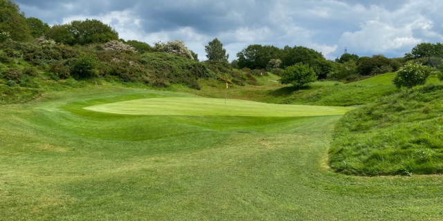 Golf Courses, Reviews & Golf Guides on Golfshake.com