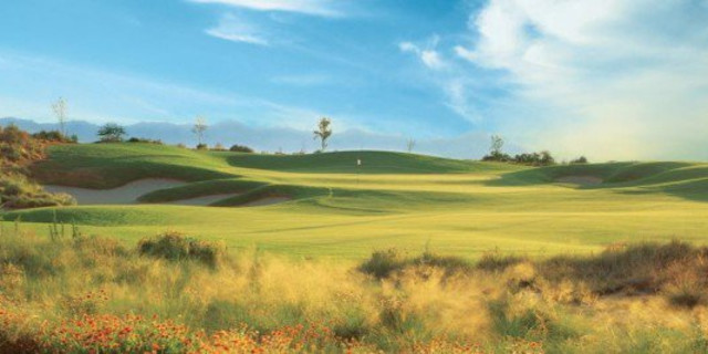 Take your game to the next level with Bird Golf Academies