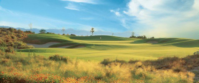 Take your game to the next level with Bird Golf Academies