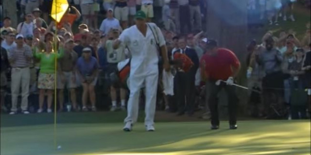 Different Angle of Tigers Amazing Masters Chip Shot