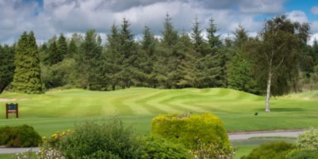 Shannon Golf Club Feature Review