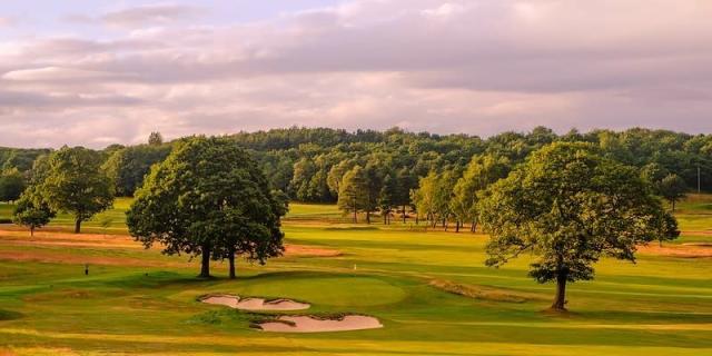 Golf Course Survey 2024