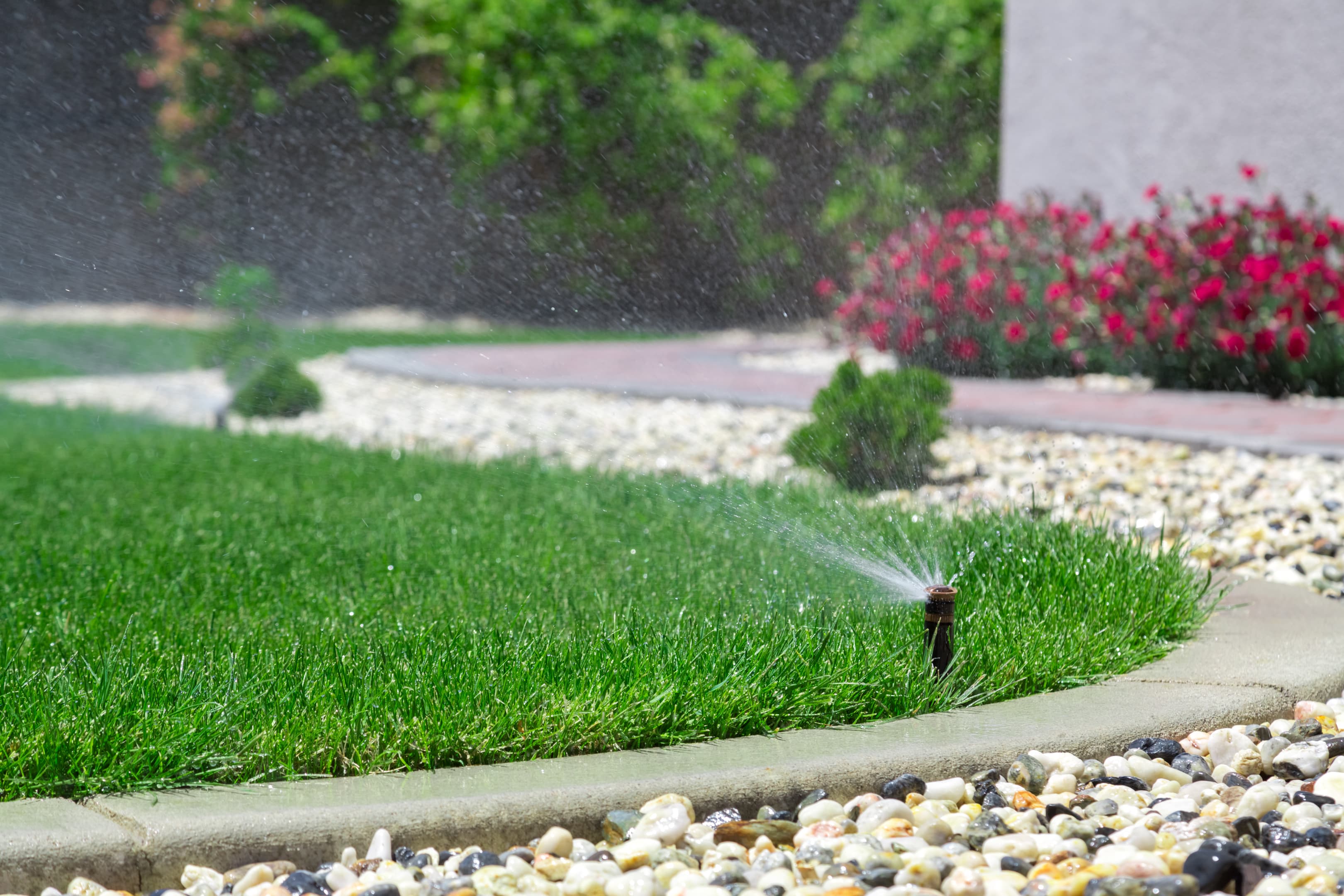 Eco-Friendly Irrigation Solutions | All Green Irrigation