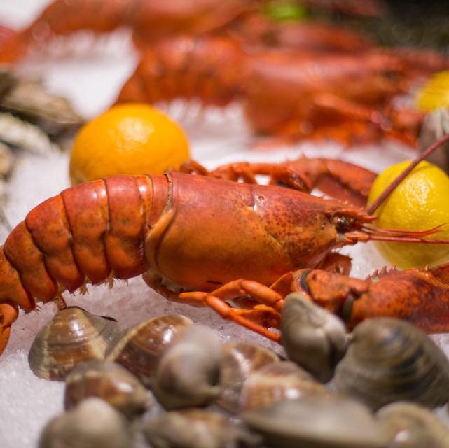 Mix Prime Steakhouse Danbury | Home