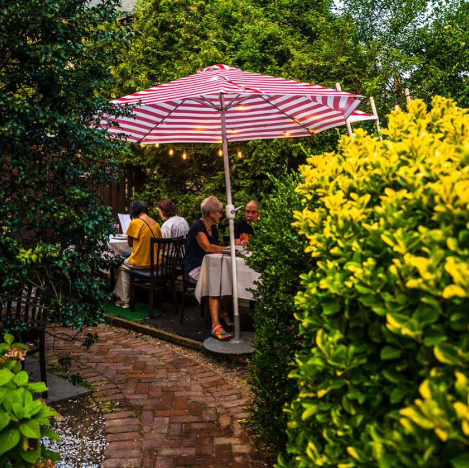 The Onion Tree | Where Heritage Meets Innovation