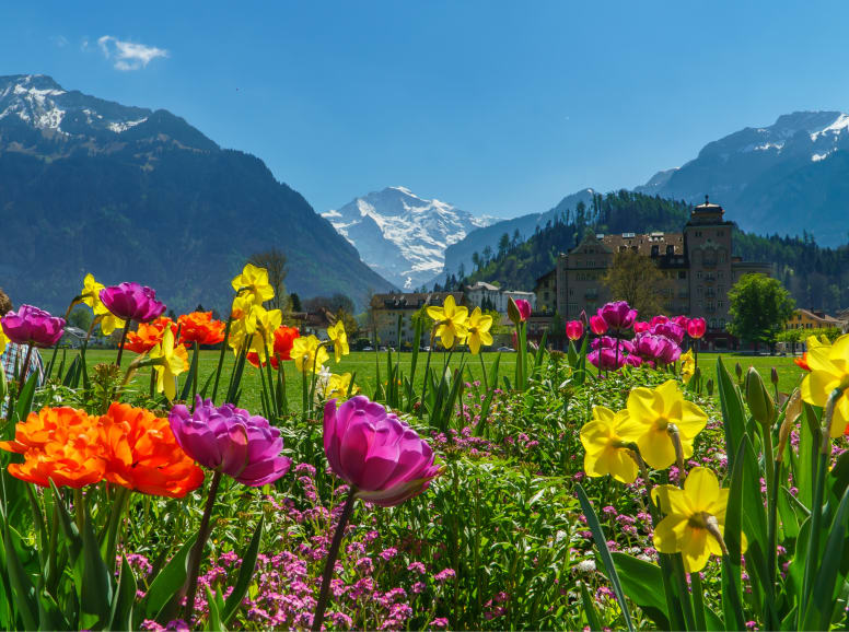 Interlaken Travel Guide - Go Real Travel
