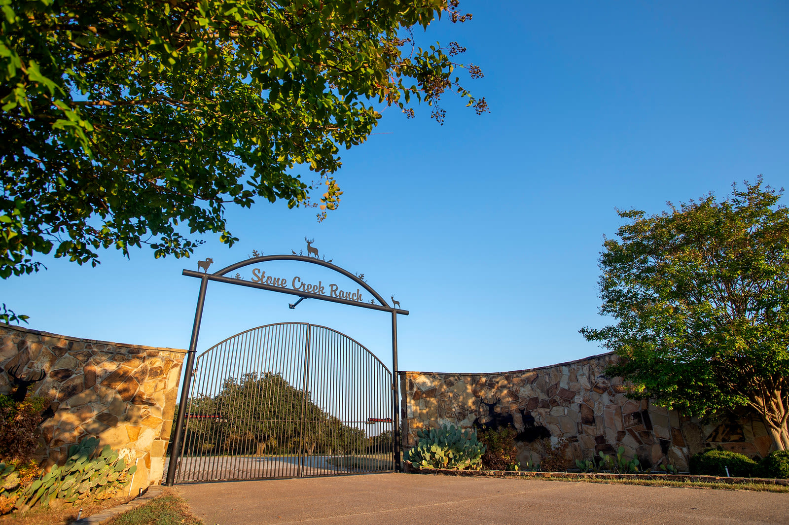 Contact Us | Stone Creek Ranch