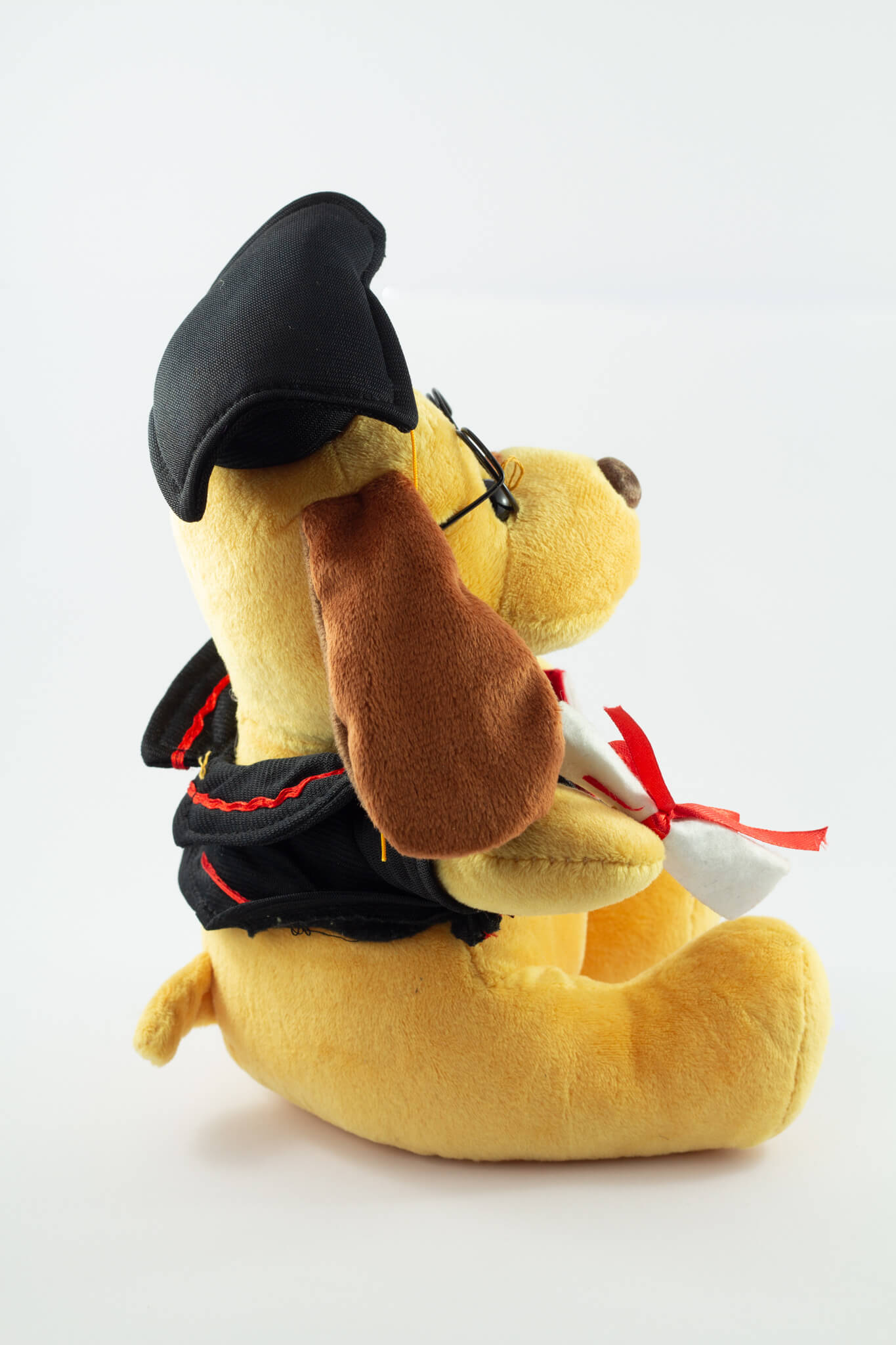Graduation Puppy Large - Back view