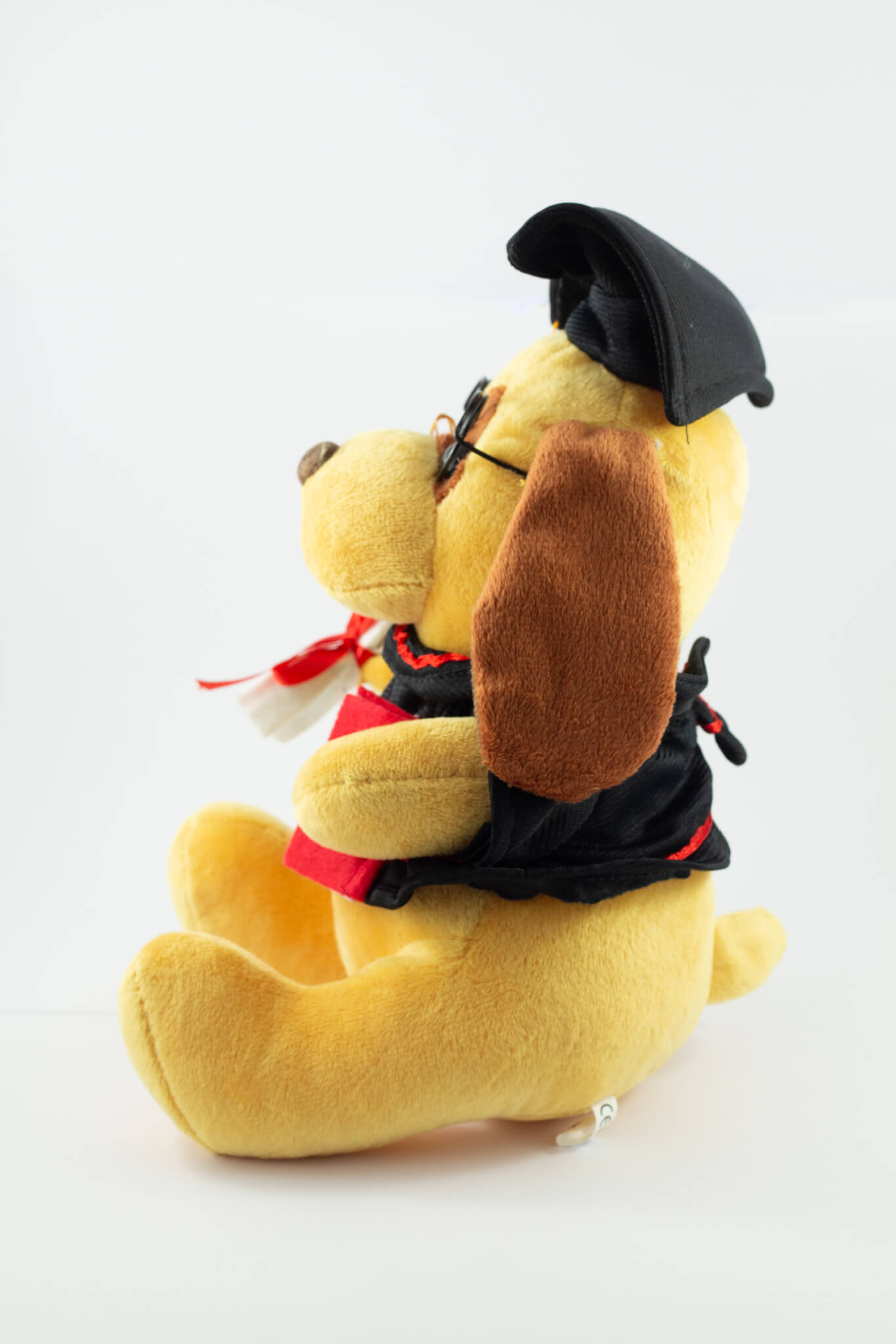 Graduation Puppy Large - Side view
