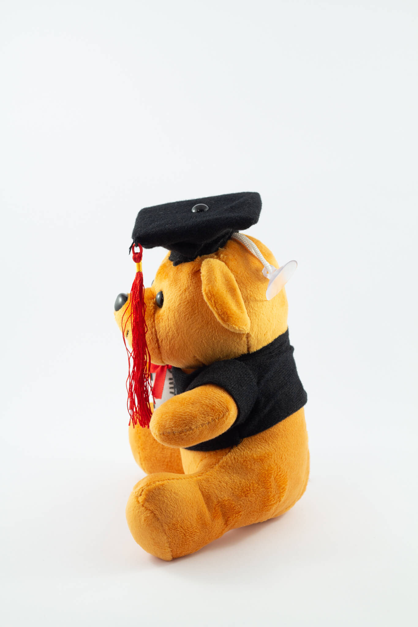 Graduation Teddy Bear - Back view