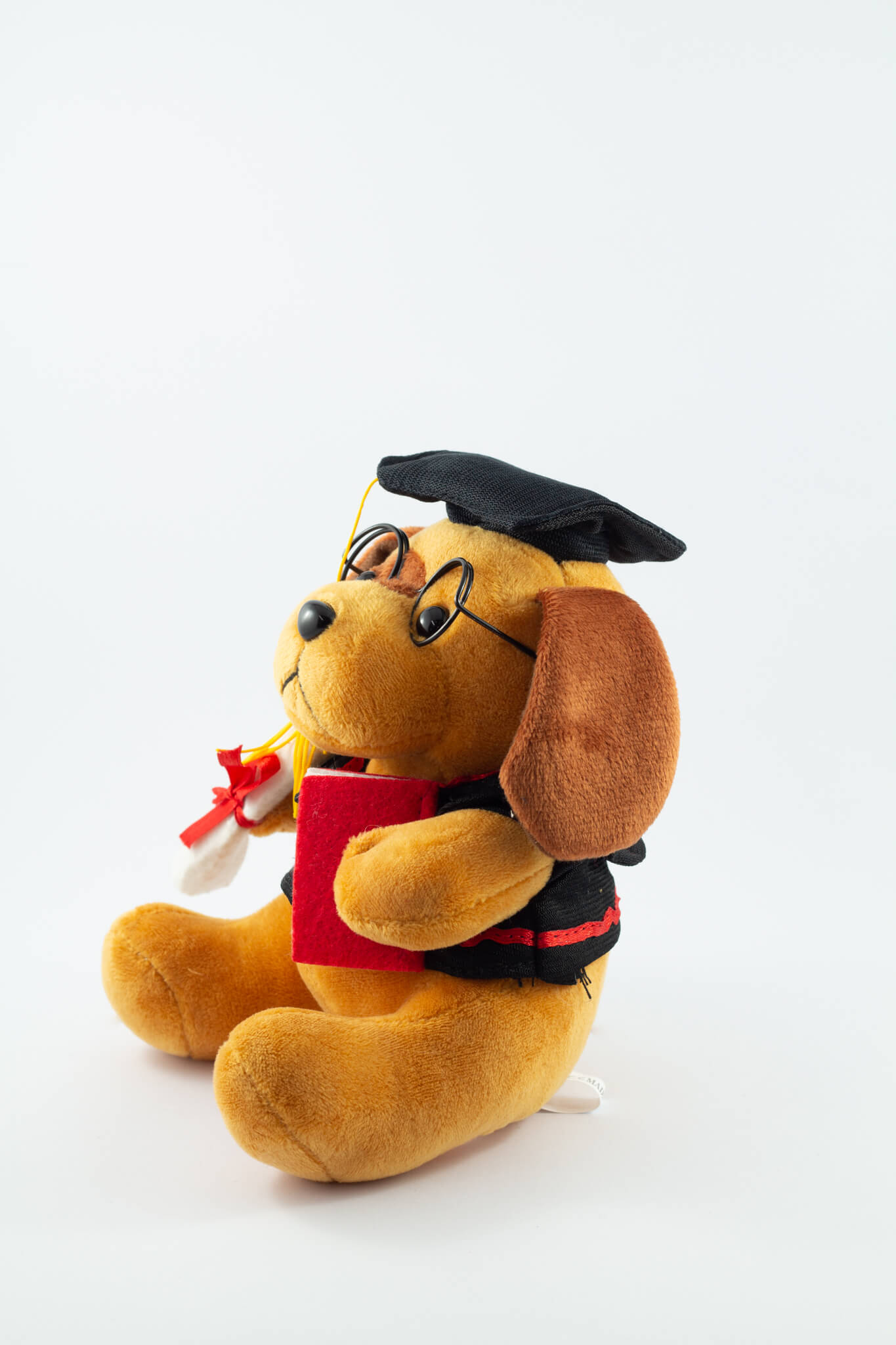 Graduation Puppy Small - Side view