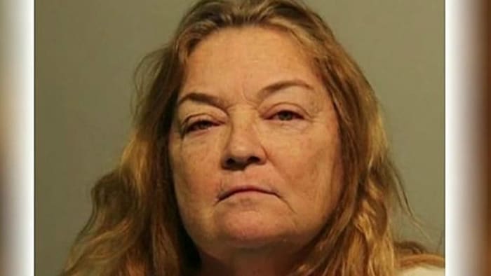 Caretaker Accused Of Embezzling Thousands From Elderly Ann Arbor Woman