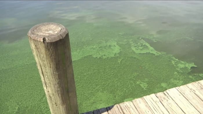 City testing new tech to battle algae blooms in stormwater ponds