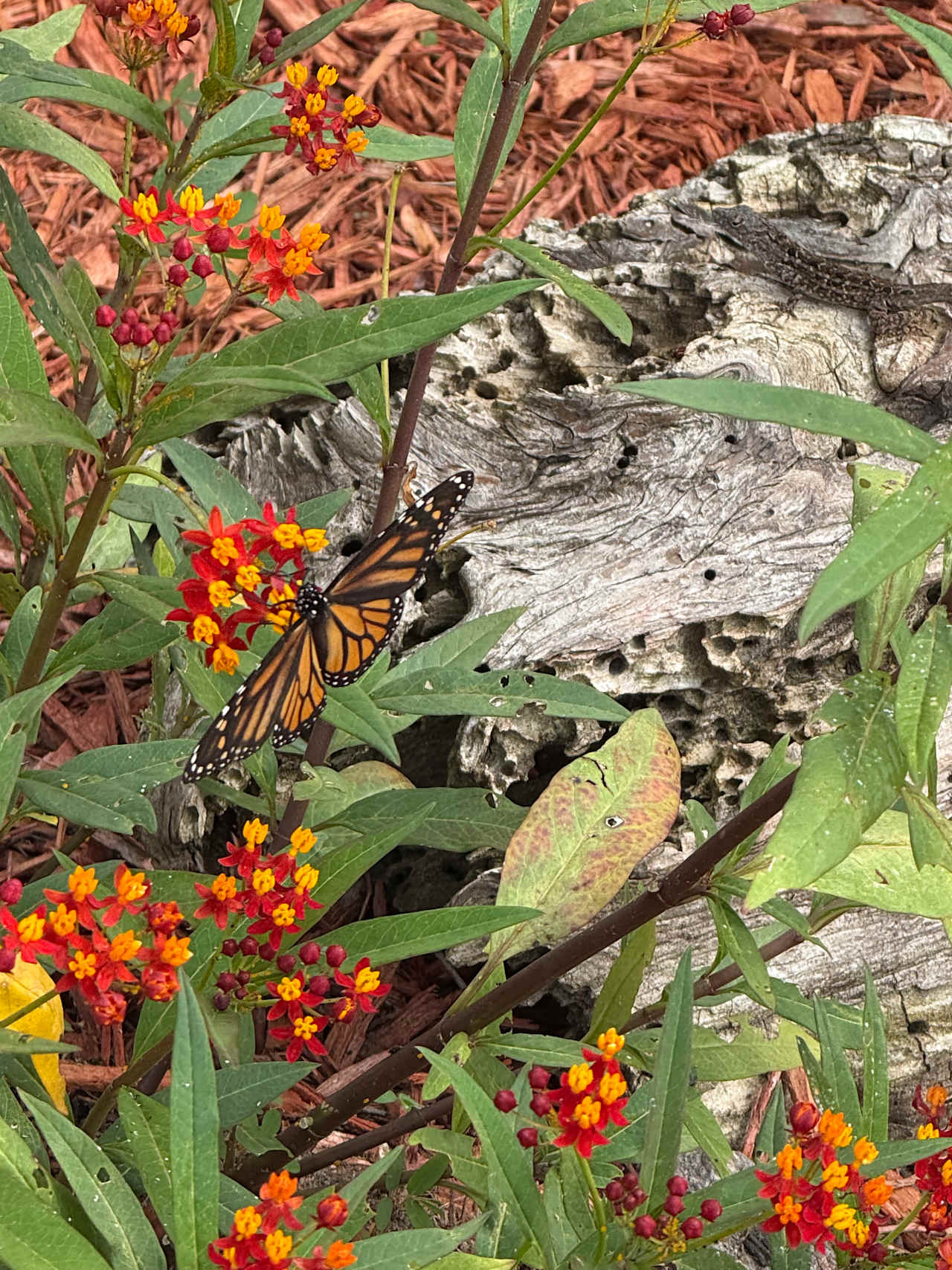 A post from Andre Mills in Jacksonville.