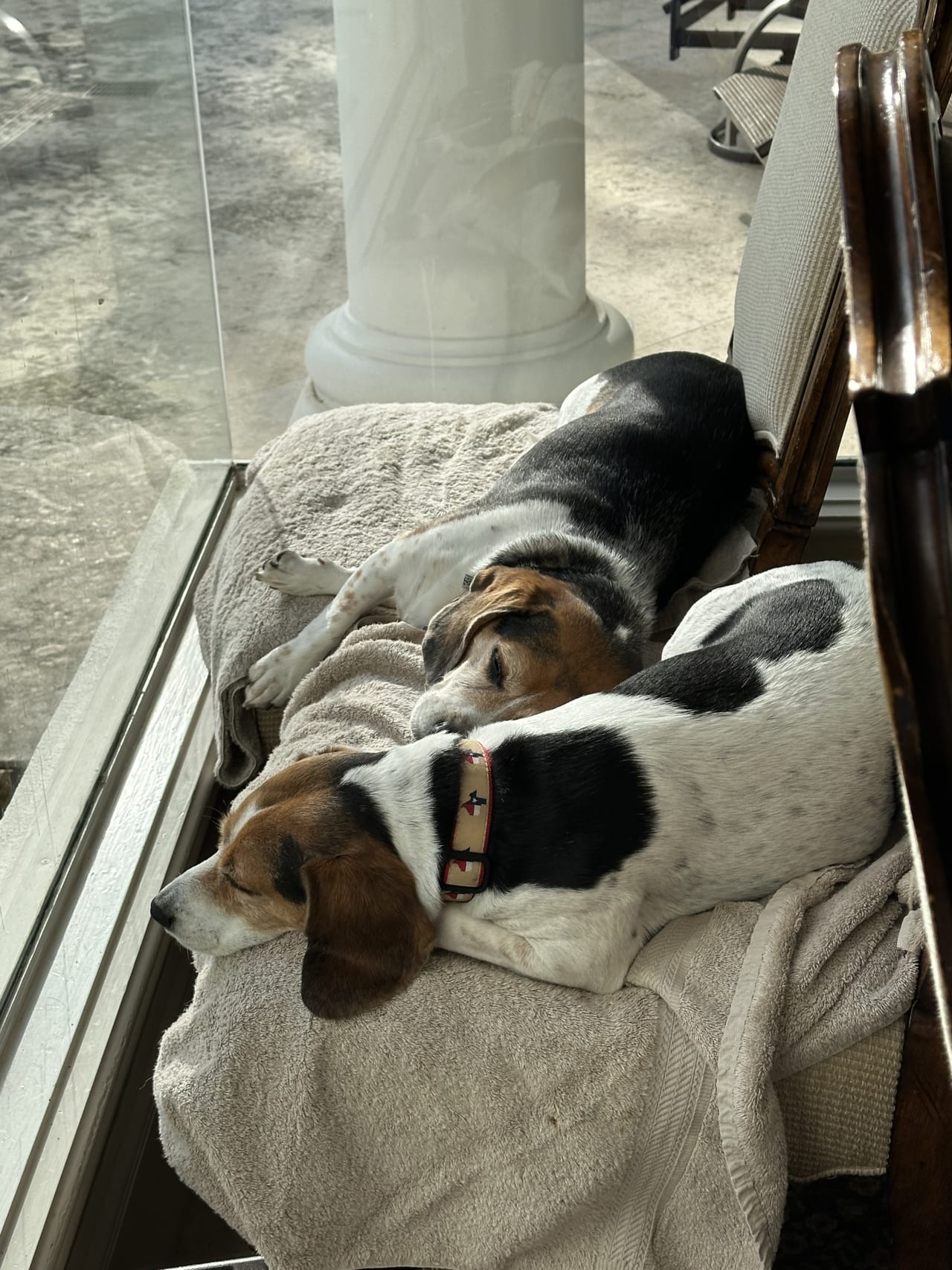 A post from Libby in Houston.