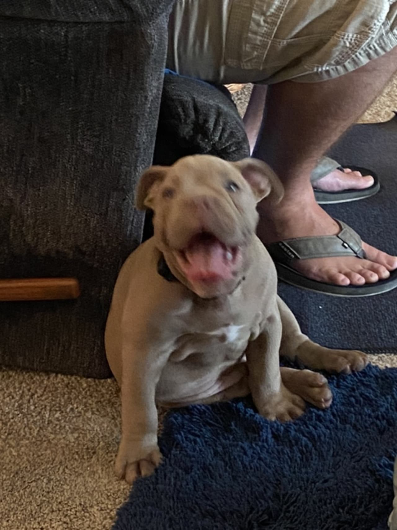 A post from Bear in Jacksonville.