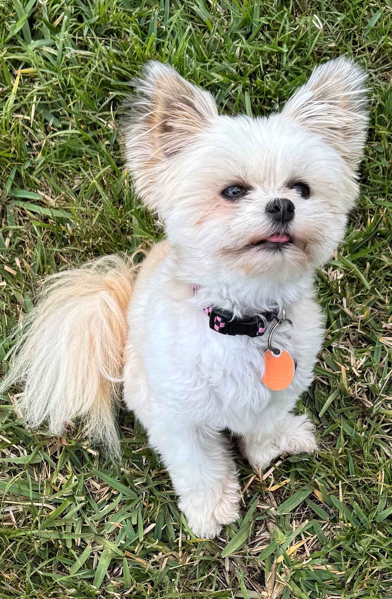 A post from clizz in Green Cove Springs.