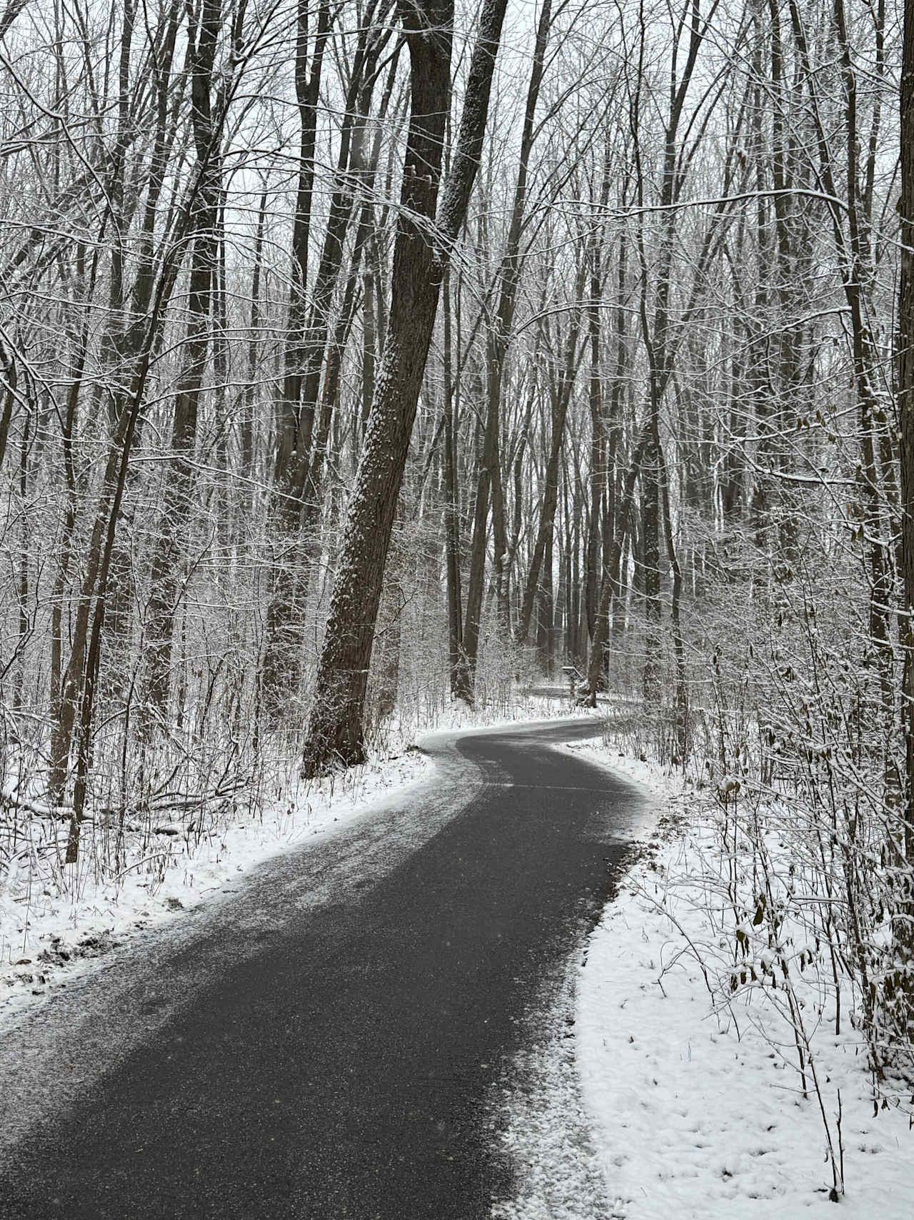 A post from Patti Cooper-Koerner in Troy.