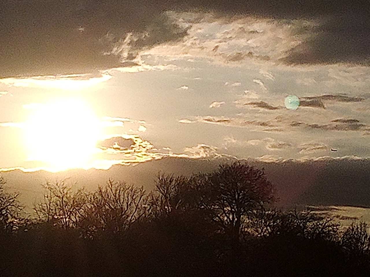 A post from Lee1918 in Orange Park.