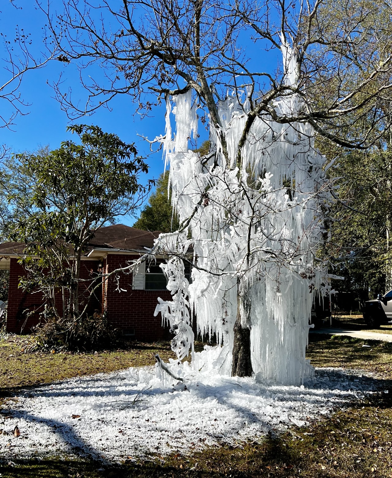 A post from Carianne Luter in Lenox.