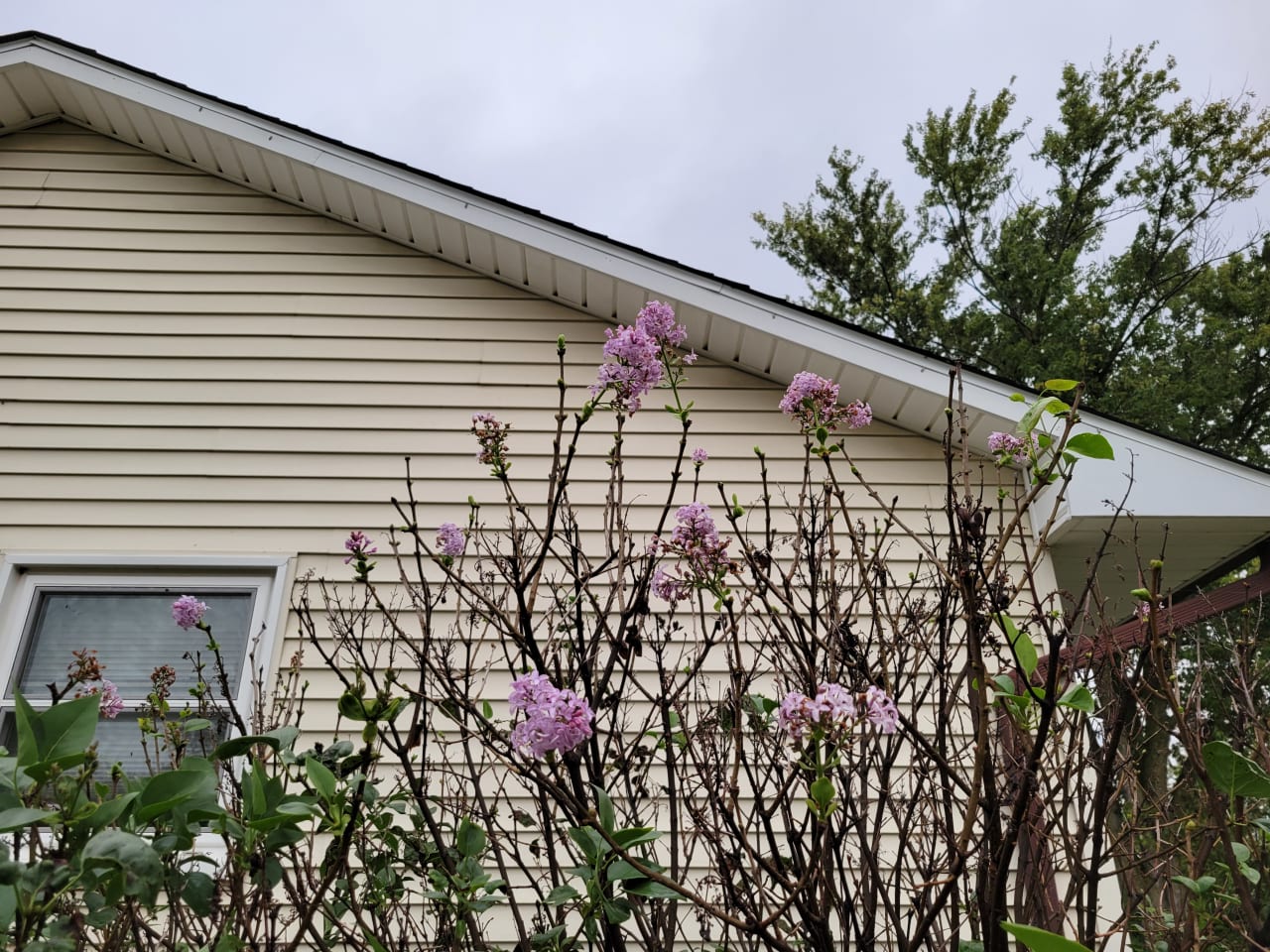 A post from Dennis Reeves in Rockwood.