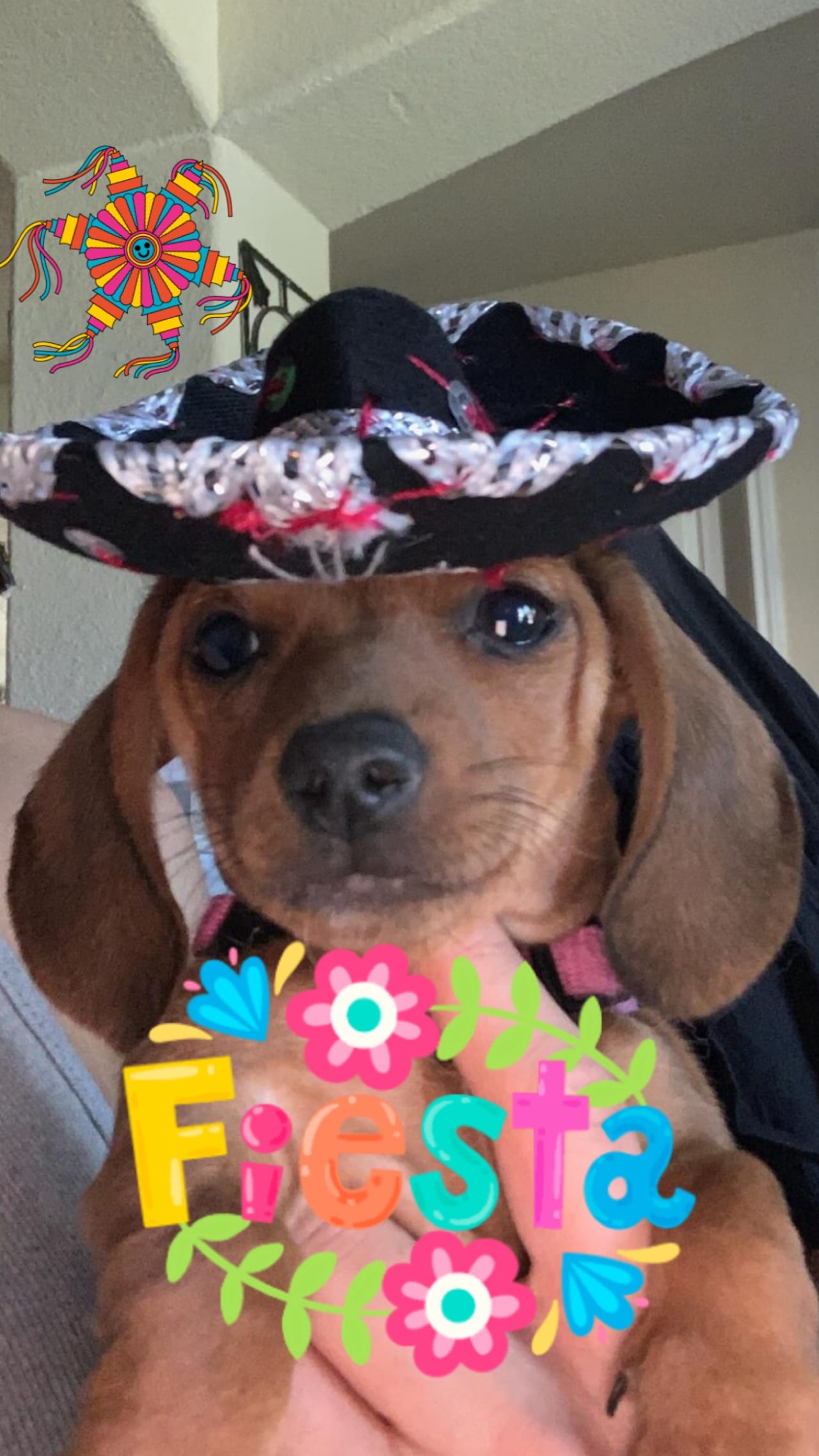 A post from Yvette ,Yvette Robles in San Antonio.