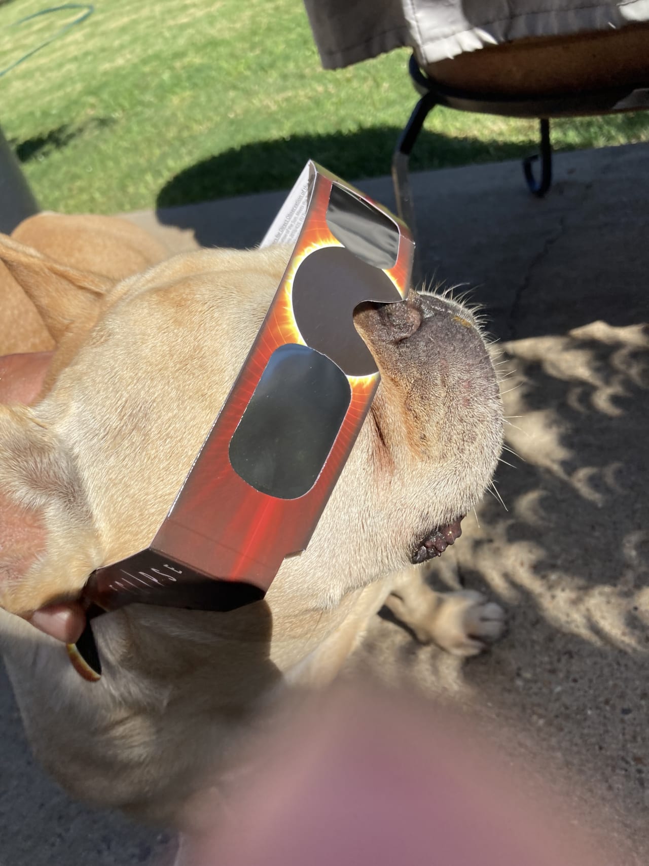 A post from Grace Fernandez in Sugar Land.