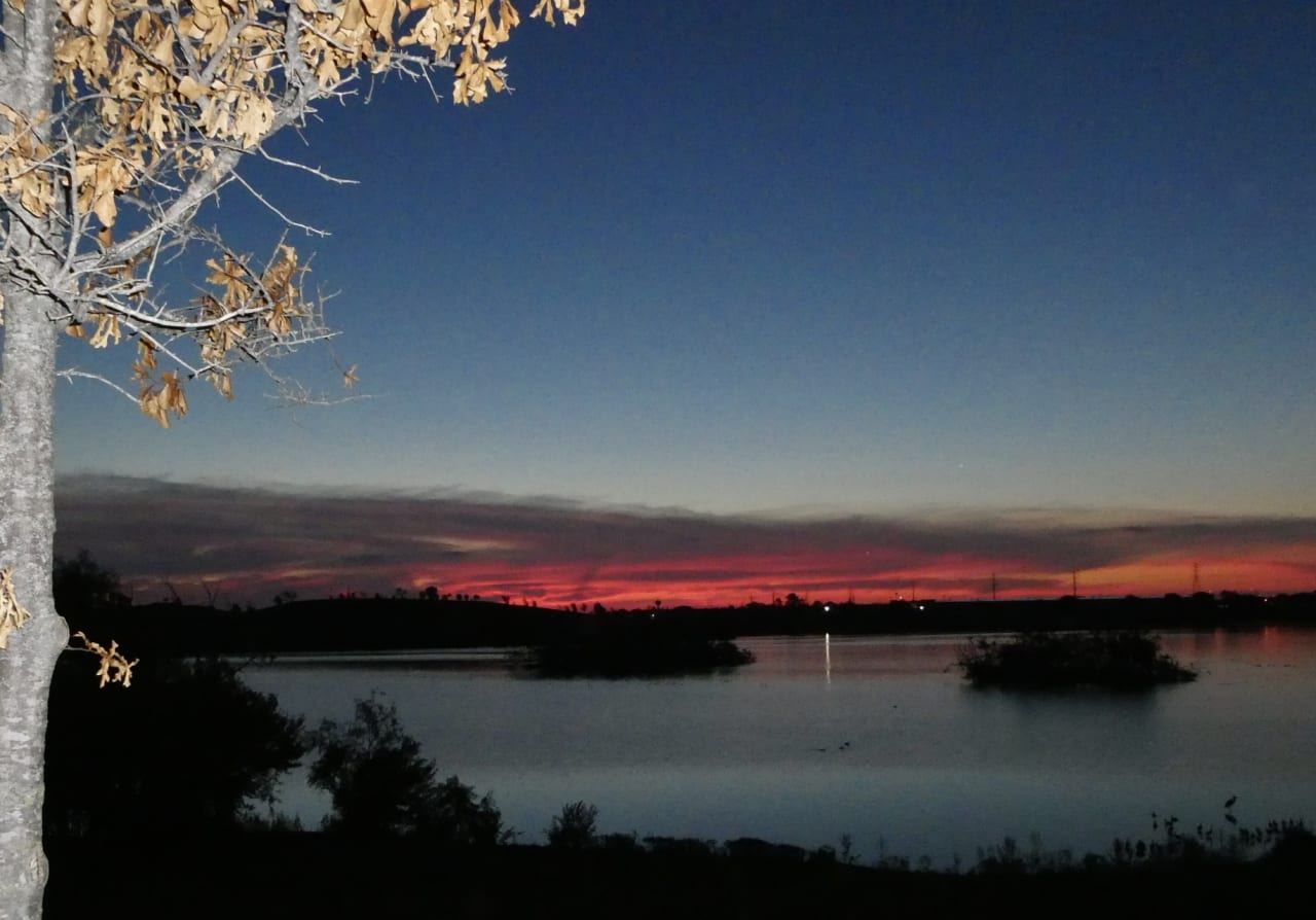 A post from Mark Cleaver in Houston.