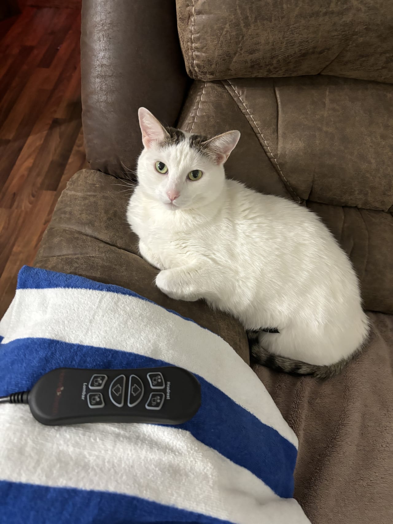 A post from Rhonda Maddox in Callahan.