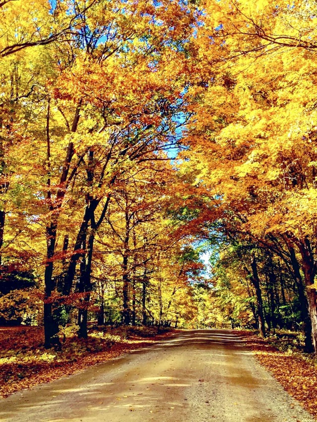 A post from Mitch and Marcy in Bloomfield Hills.