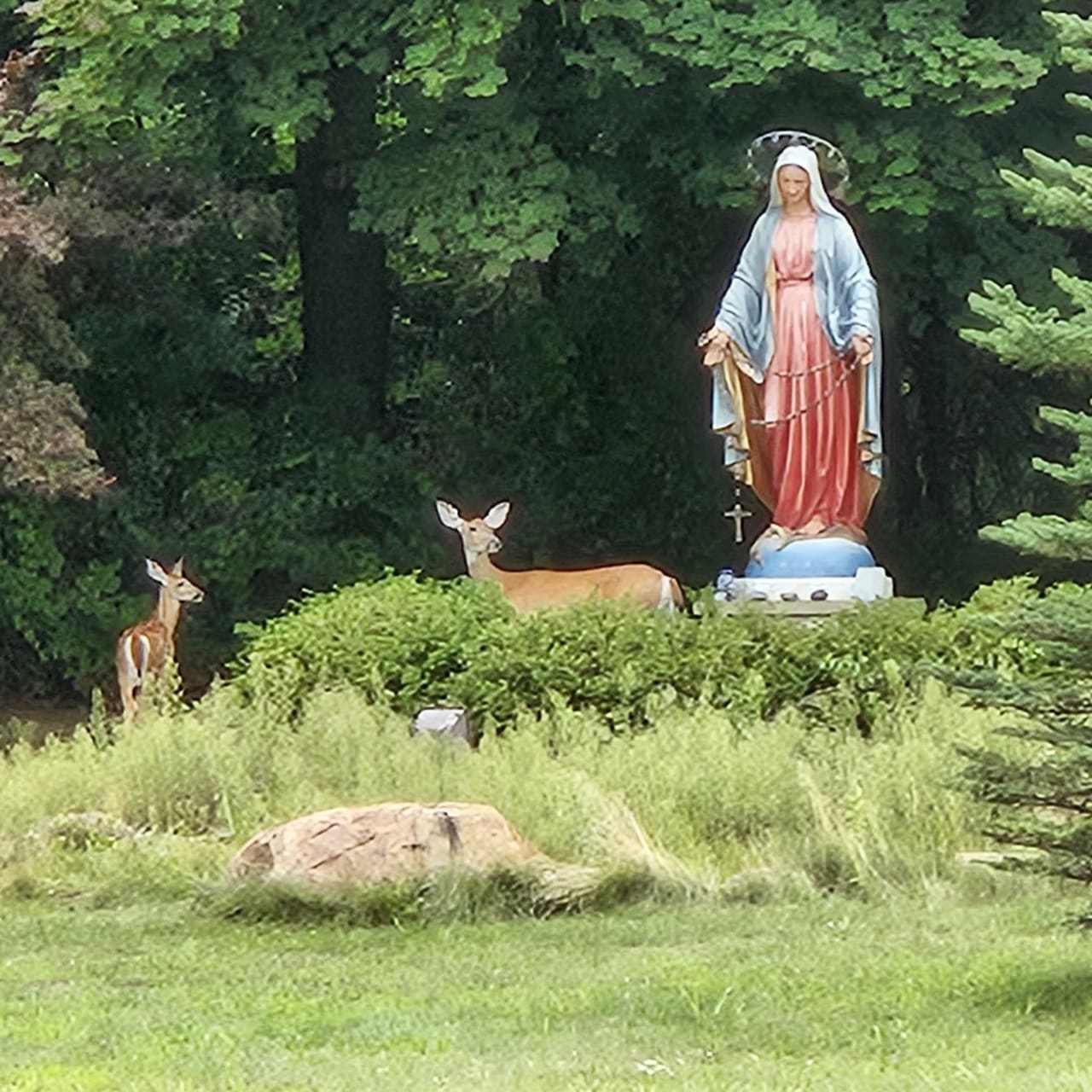 A post from Sister Darlene Schoenherr in Livonia.