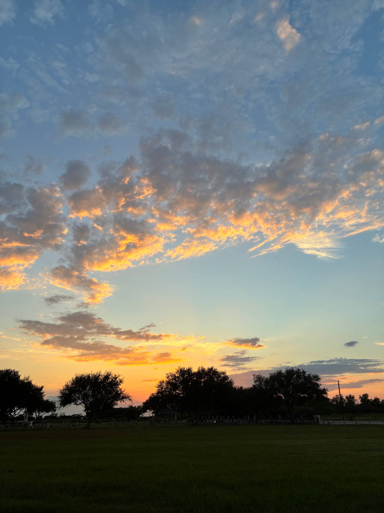 A post from wendygoodman in Blessing.