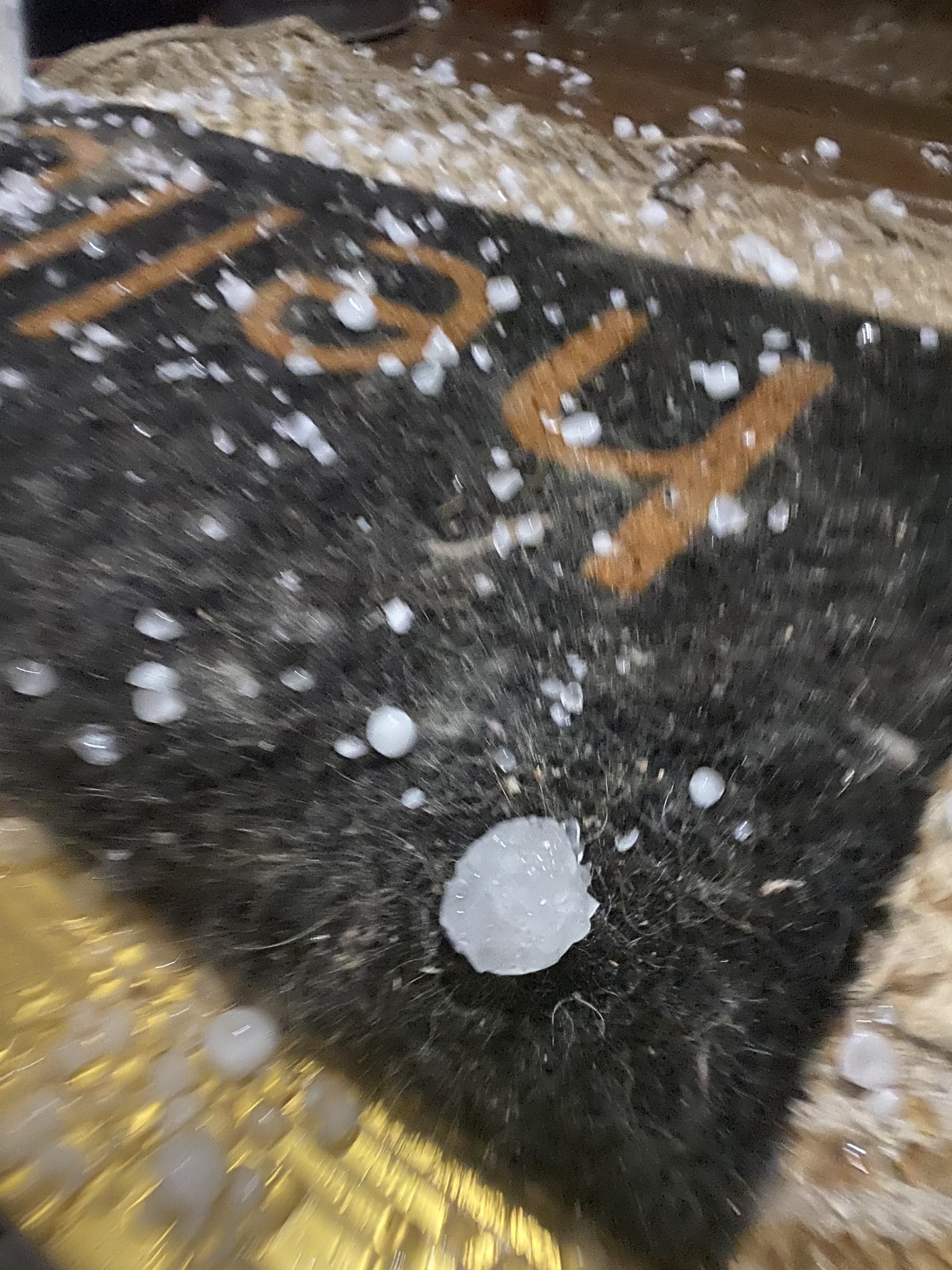 A post from Nancy Jo Petrosky in San Antonio.