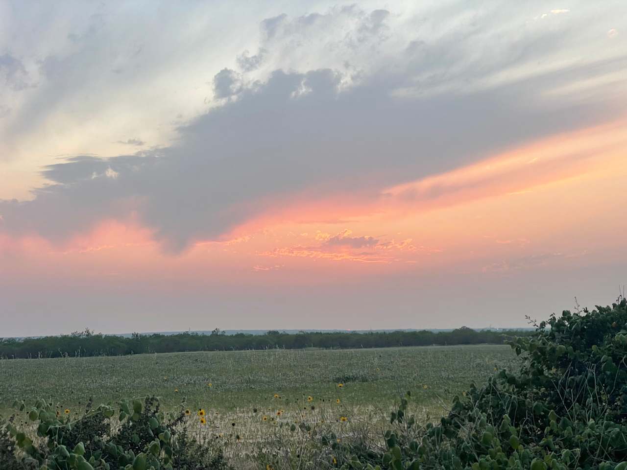 A post from Laura K. in Lytle.