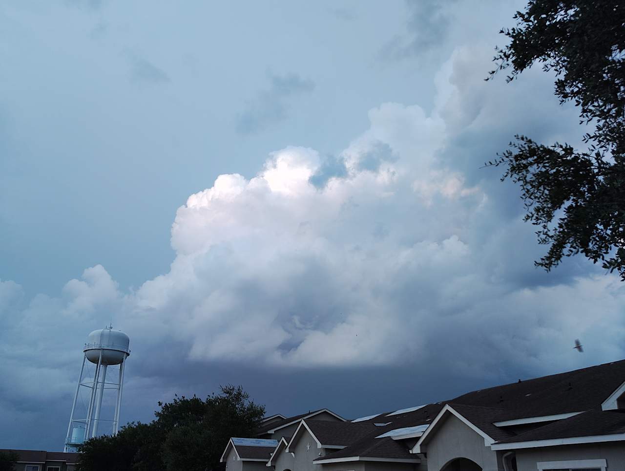 A post from rudy Garcia jr in Pearsall.