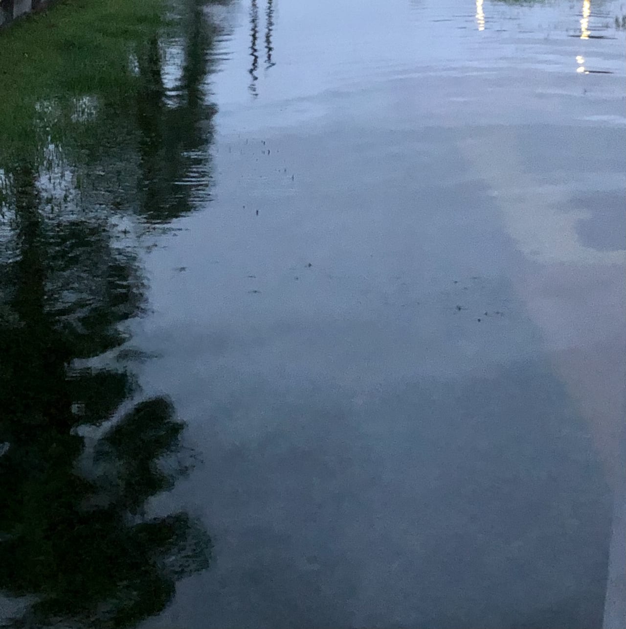 A post from in Galveston.