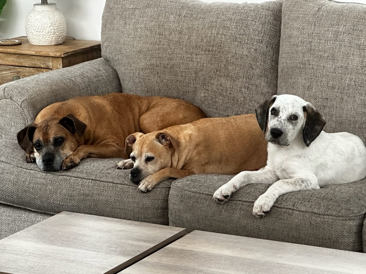 A post from Randy Conrad in Unknown.