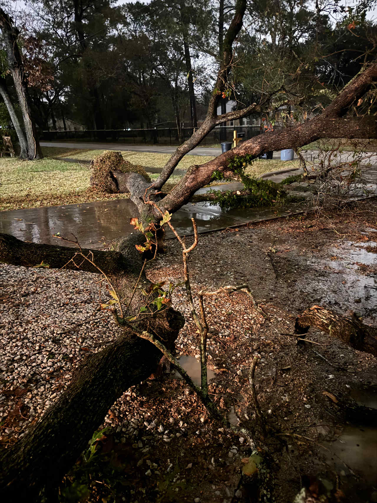 A post from Chris Severy in Cypress.