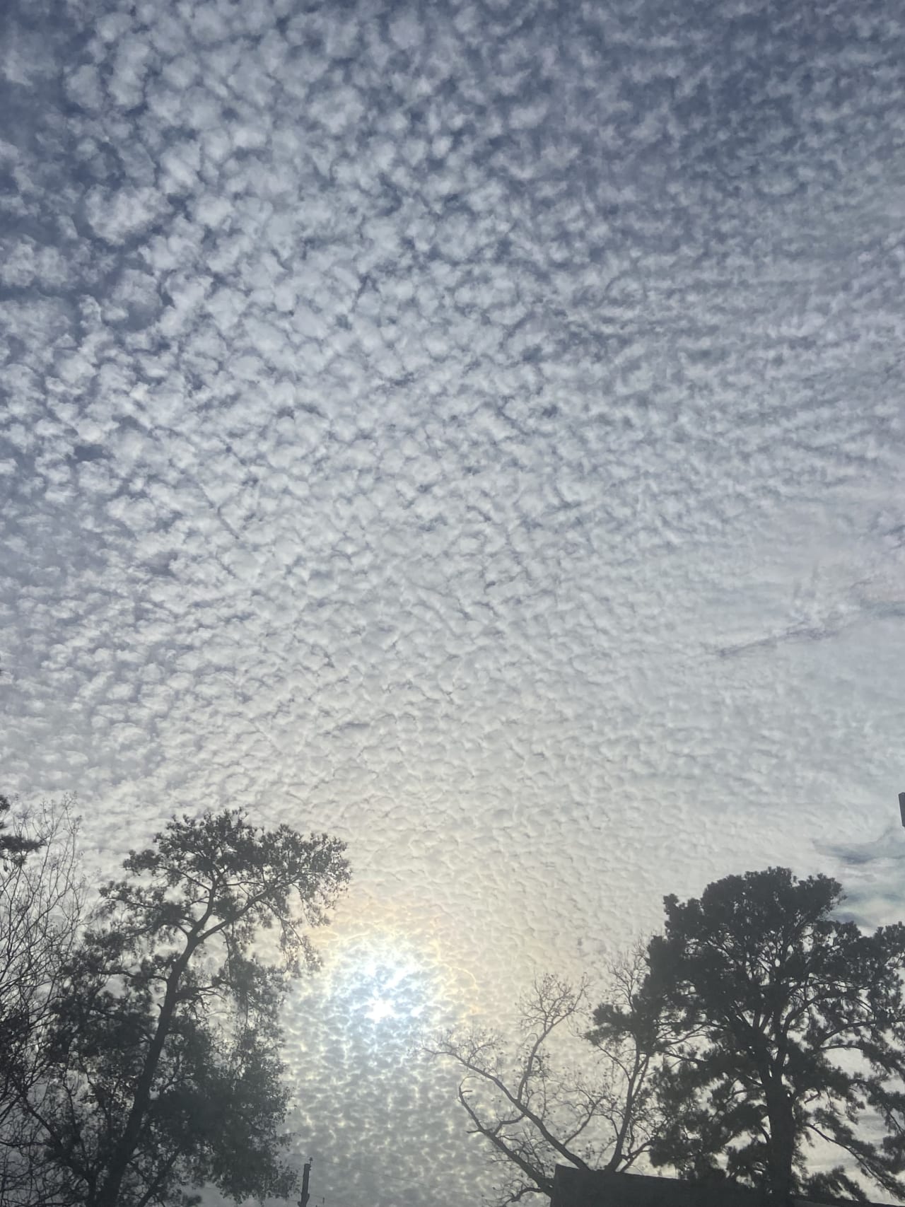 A post from Sara in Spring.