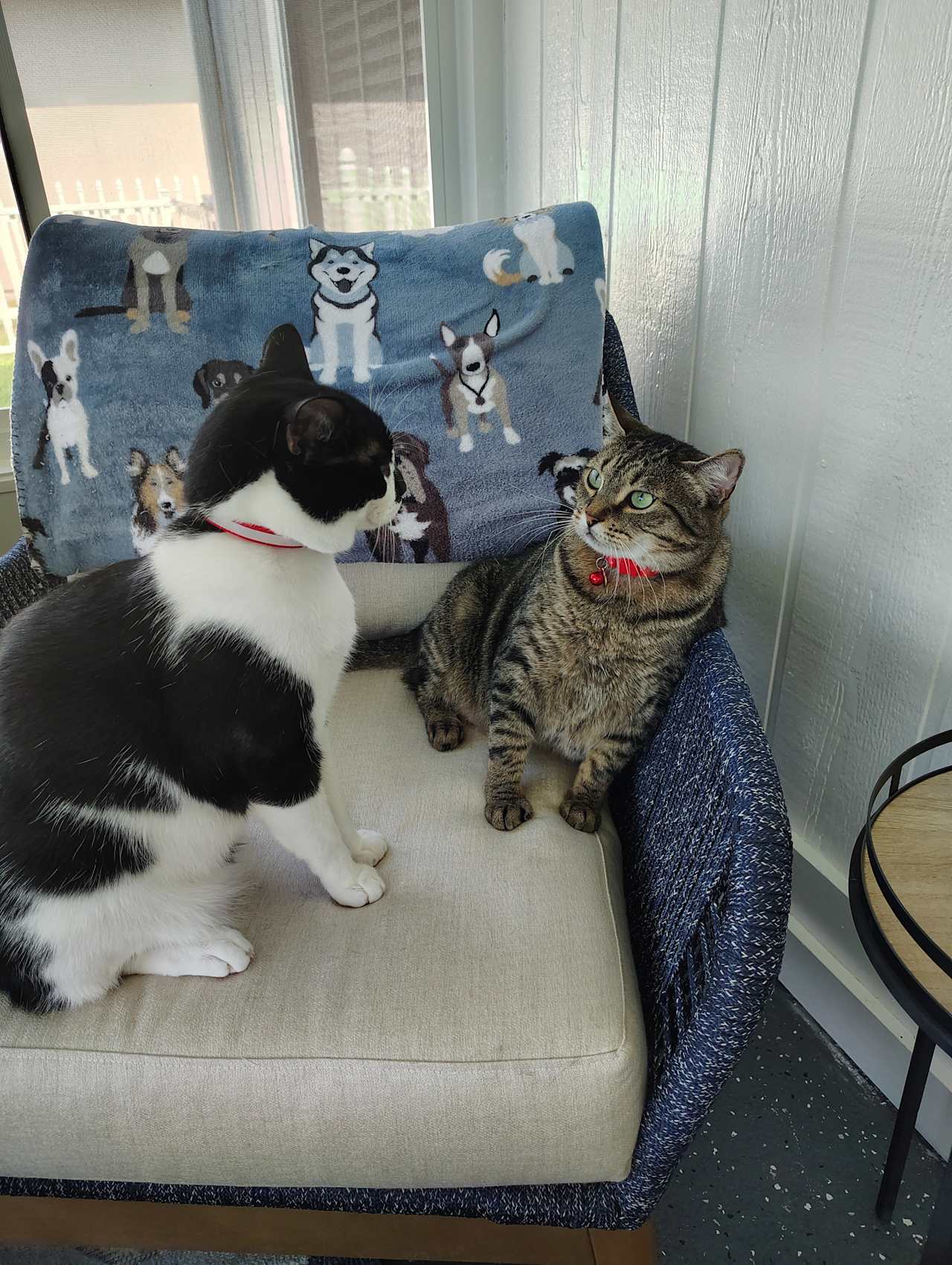 A post from Tara Day in Jacksonville.