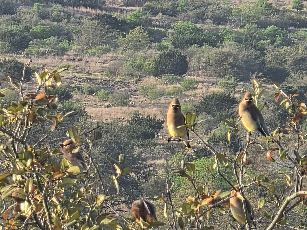 A post from Randy Morin in San Antonio.