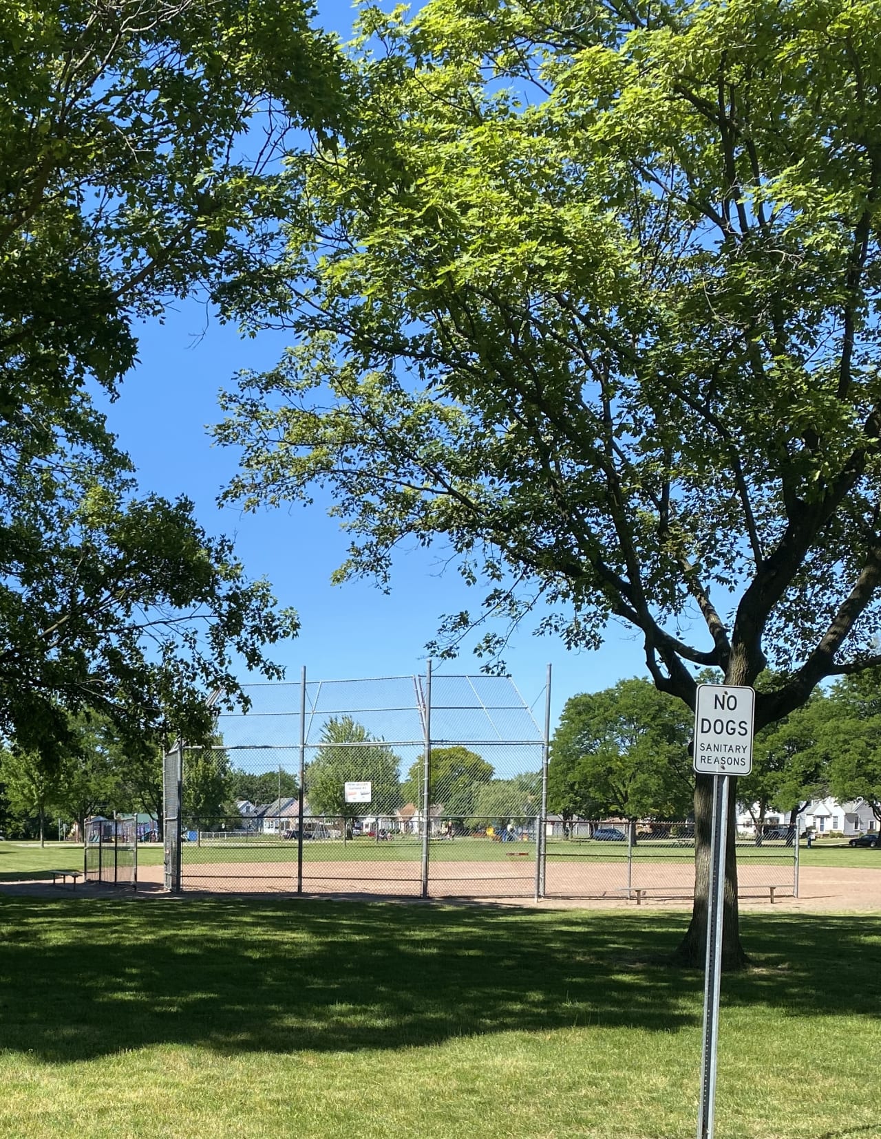 A post from Mike Daytona in Dearborn.