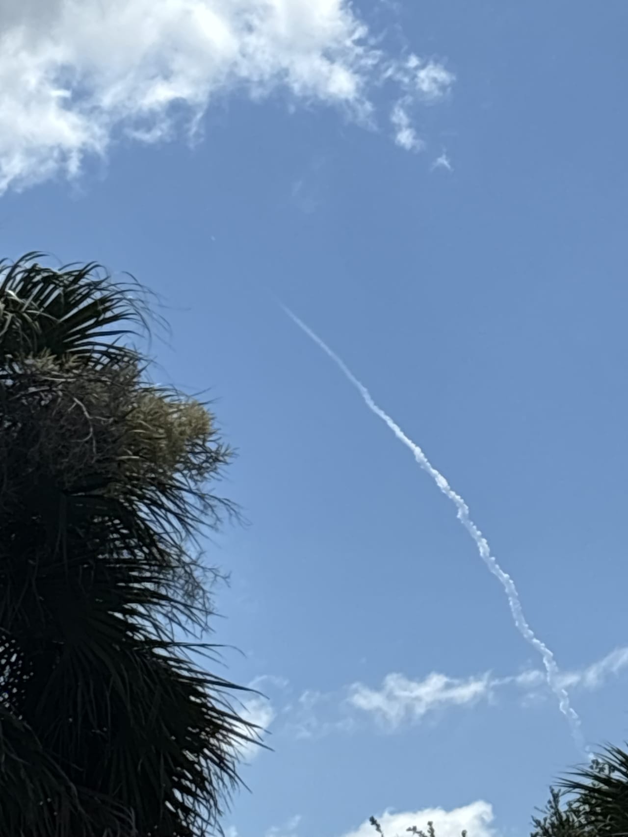 A post from Sandra Dane in Apopka.