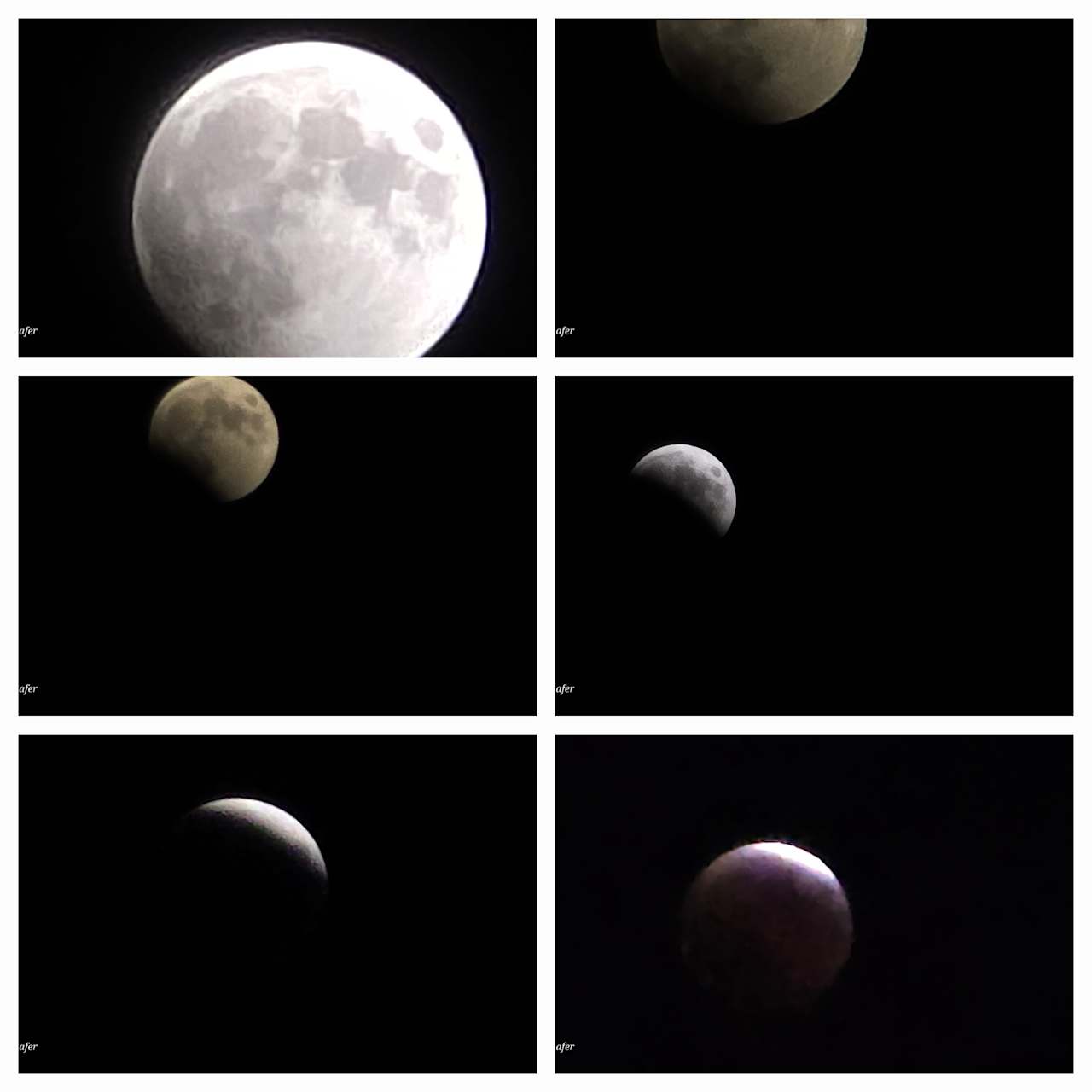 A post from Brenda Shafer in Blue Ridge.