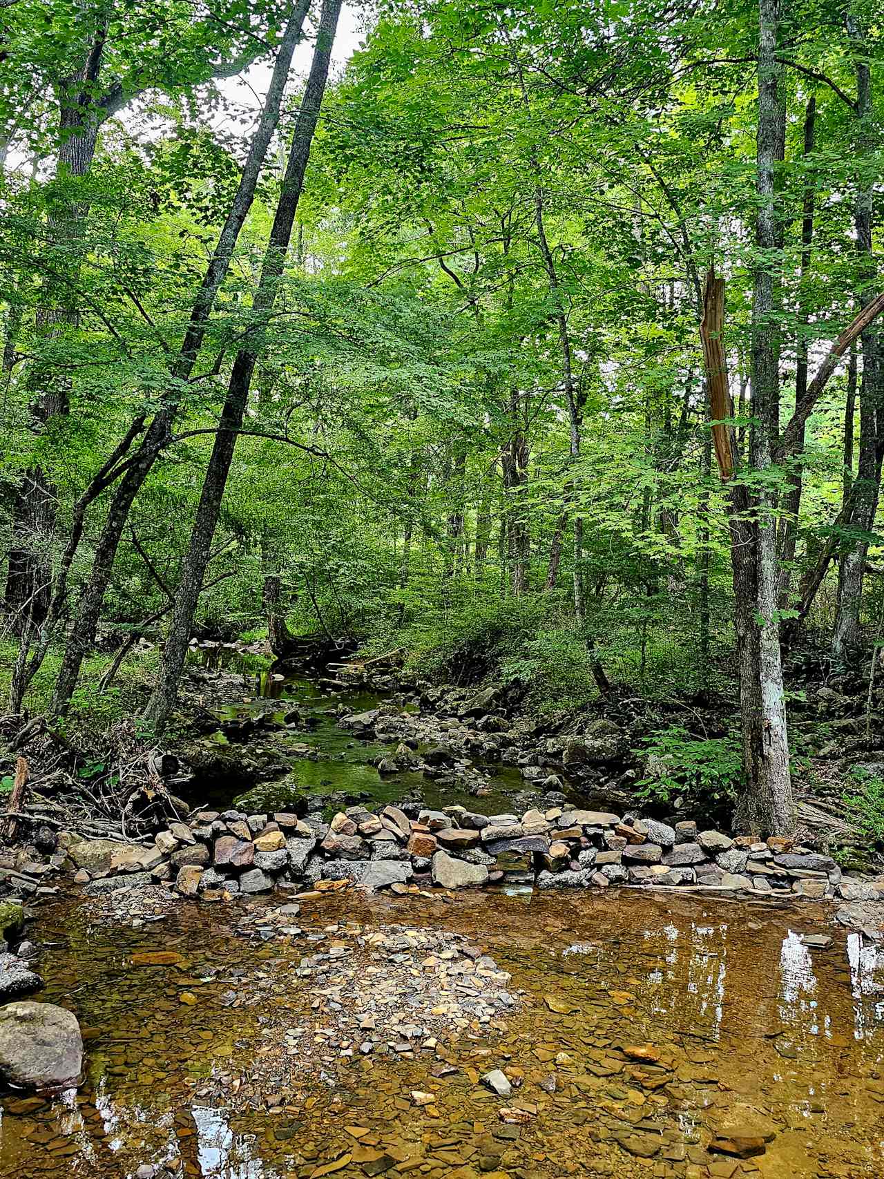 A post from Stacy Beamer in Wytheville.