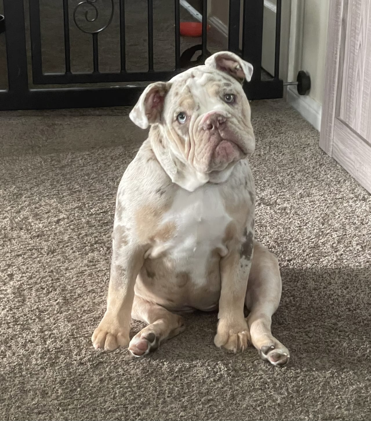 A post from Amy Wade in Detroit.